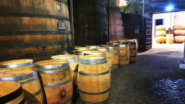 Port wine - everything you need to know about it - Travel With A Spin