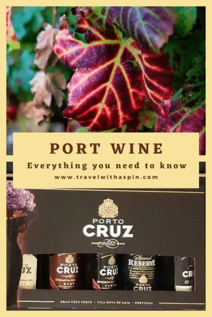 Port wine - everything you need to know about it - Travel With A Spin