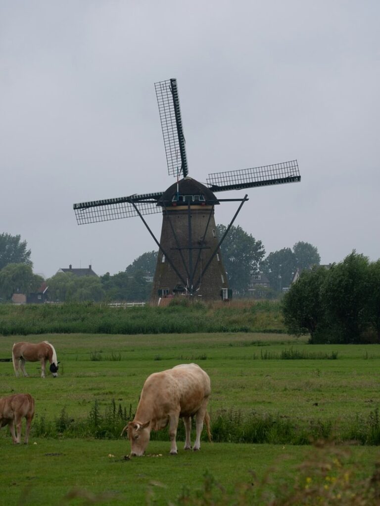 The Windmills of the Netherlands – History, Curiosities, and Where to ...